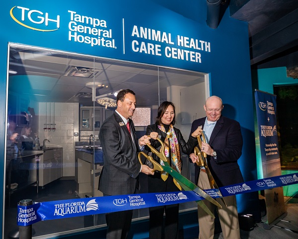 Tampa General Hospital President and CEO John Couris Named Board Chair ...