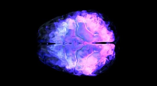 Researchers map how measles virus spreads in human brain - Florida ...