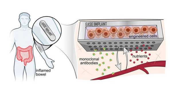 Mayo Clinic secures ARPA-H award to build a living pharmacy within the ...