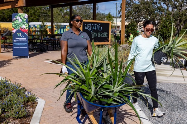 Tampa General Hospital Awarded TD Tree Days Grant to Enhance Tampa’s ...