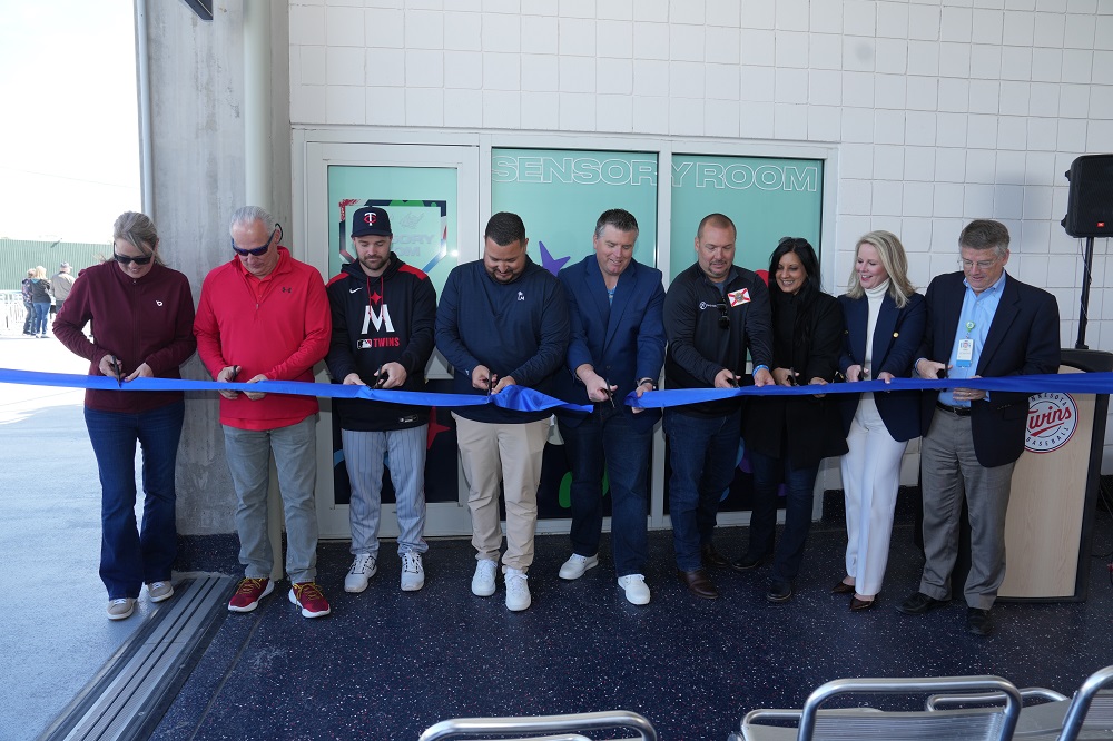 MINNESOTA TWINS, LEE COUNTY, LEE HEALTH AND FAMILY INITIATIVE, INC ...