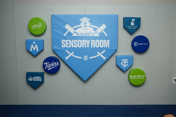 MINNESOTA TWINS, LEE COUNTY, LEE HEALTH AND FAMILY INITIATIVE, INC ...