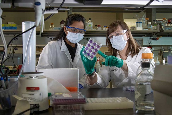 Florida Atlantic University Partners with Cleveland Clinic to Advance ...